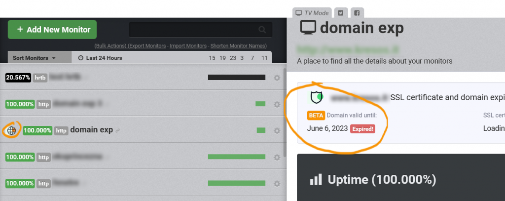 May 2023: Monitor Your Domain Expiration Feature | UptimeRobot Blog